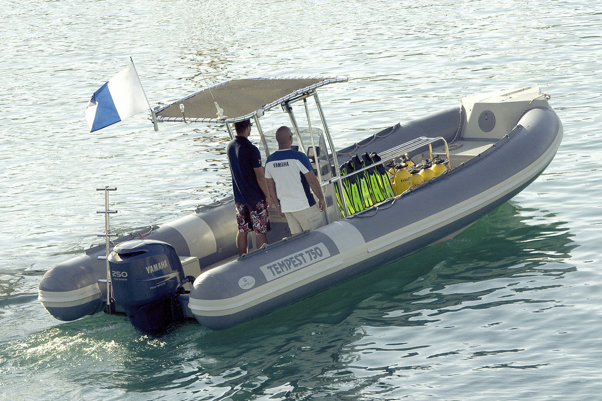 Arbeitsboot Berufsboot - TEMPEST 750 - Capelli - Nutzfahrzeug ...