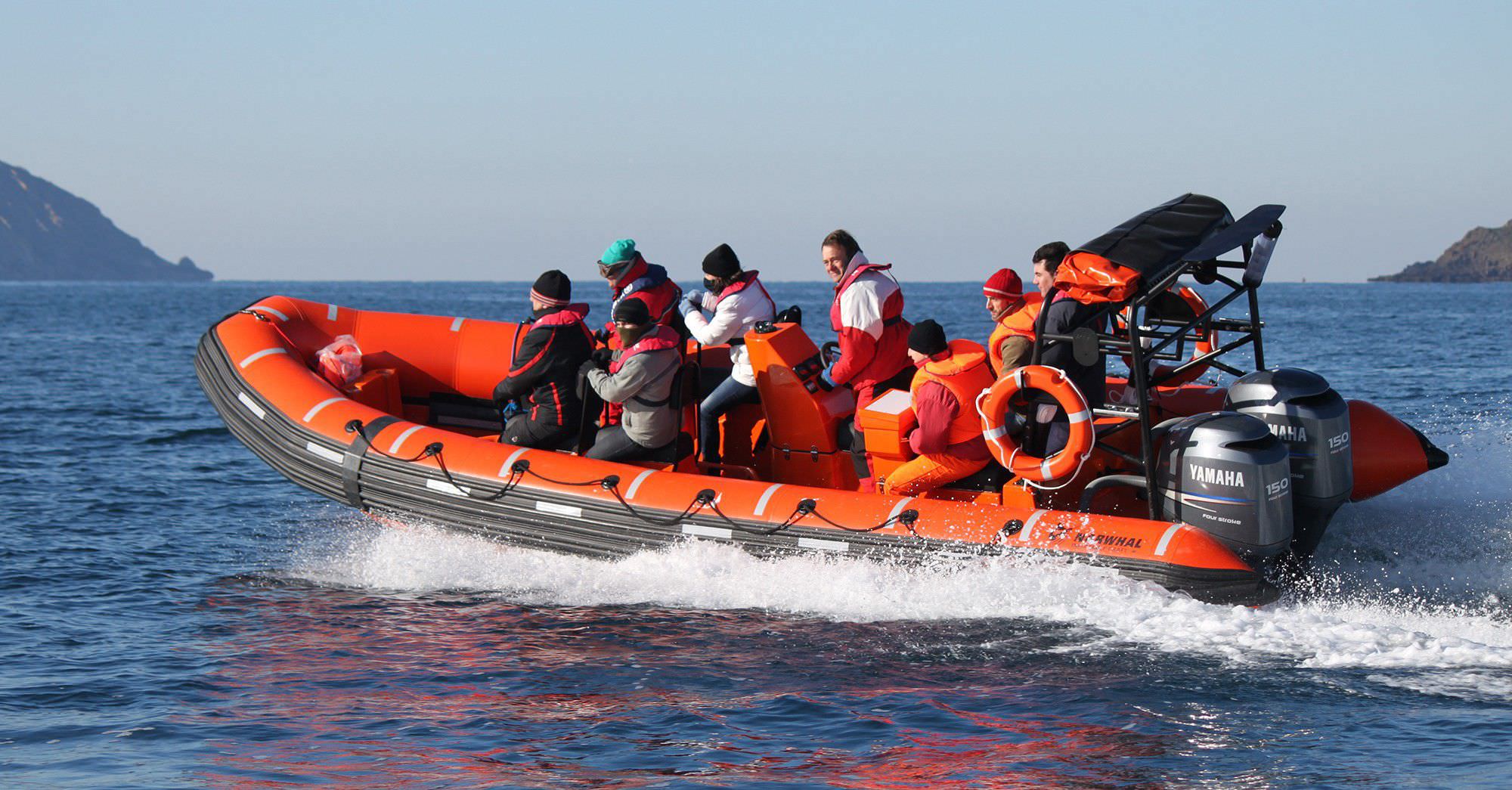 Rettungsboot Berufsboot - SV-750 - Narwhal - Außenbord / Festrumpf ...