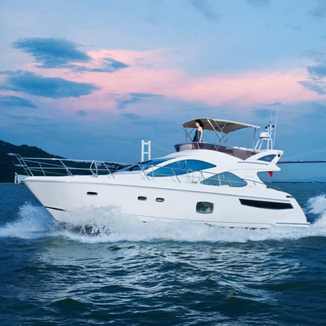 Express-Cruiser / Innenborder - Artemis 43 - Selene - Hardtop ...
