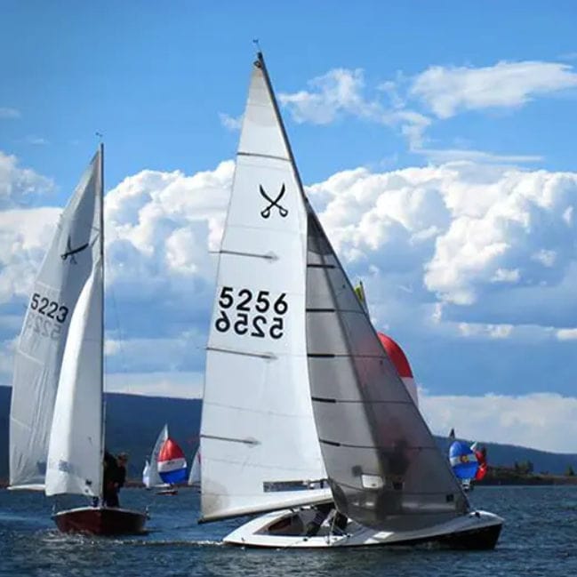 Großsegel - Buccaneer - Quantum Sails - Fock / Spinnaker / für Jolle
