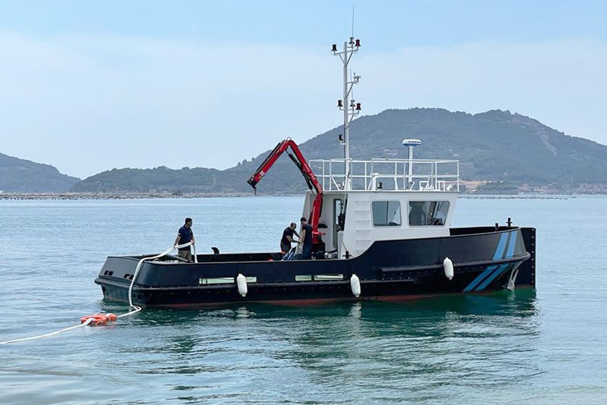 Hafenservice-Boot - Stem Marine - Schlepper / Innenborder / Carbon