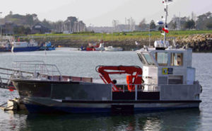 Arbeitsboot Berufsschiff - 6m - Alumarine Shipyard - Außenborder ...