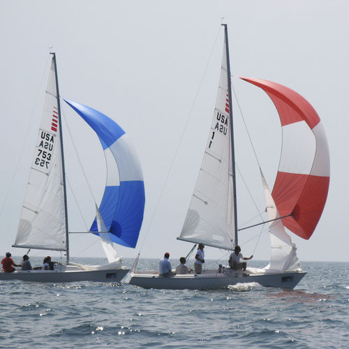 Großsegel - Doyle - Vorsegel / Spinnaker / für One-Design Regatta Kielboote