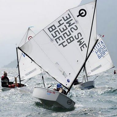 Großsegel - SCHOOL - Olimpic Sails - für Jolle / Optimist