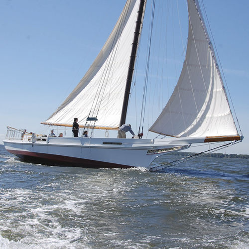 Großsegel - Ullman Sails - Vorsegel / Vorwind Segel / für traditionelle ...