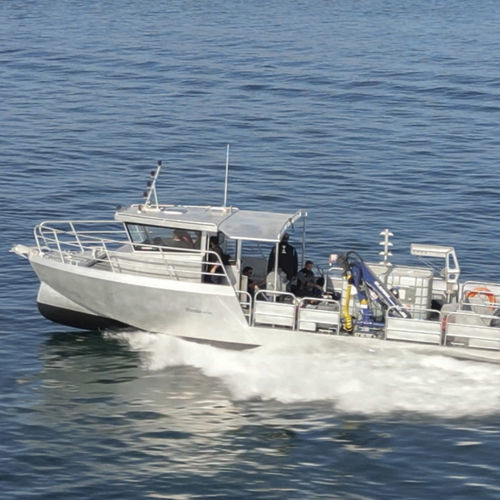 Arbeitsboot - Pixsea pro 1200 - BORD A BORD - Innenborder / Aluminium