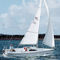 Daysailer-Segelboot - 22 Capri - Catalina Yachts - Regatta / 1 Kabine ...